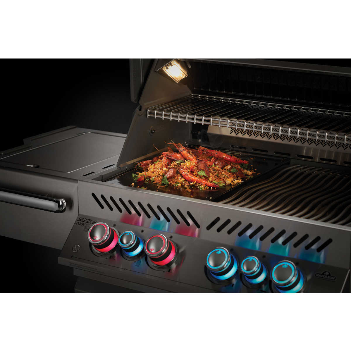 Napoleon Gussplatte für Prestige (PRO) | 700-Series | BILEX und PRO 605 ...